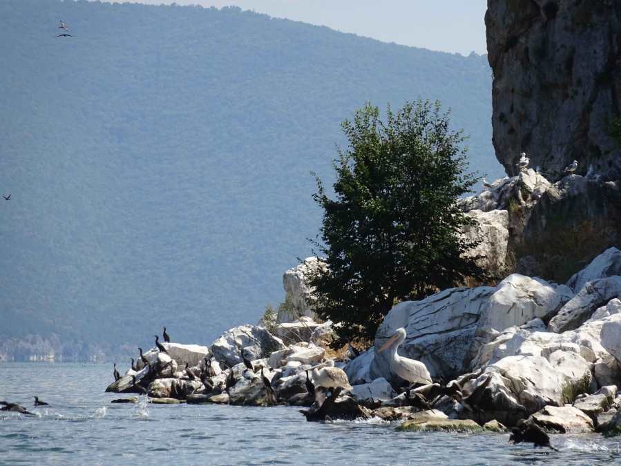 Golem Grad – My Macedonia Blog