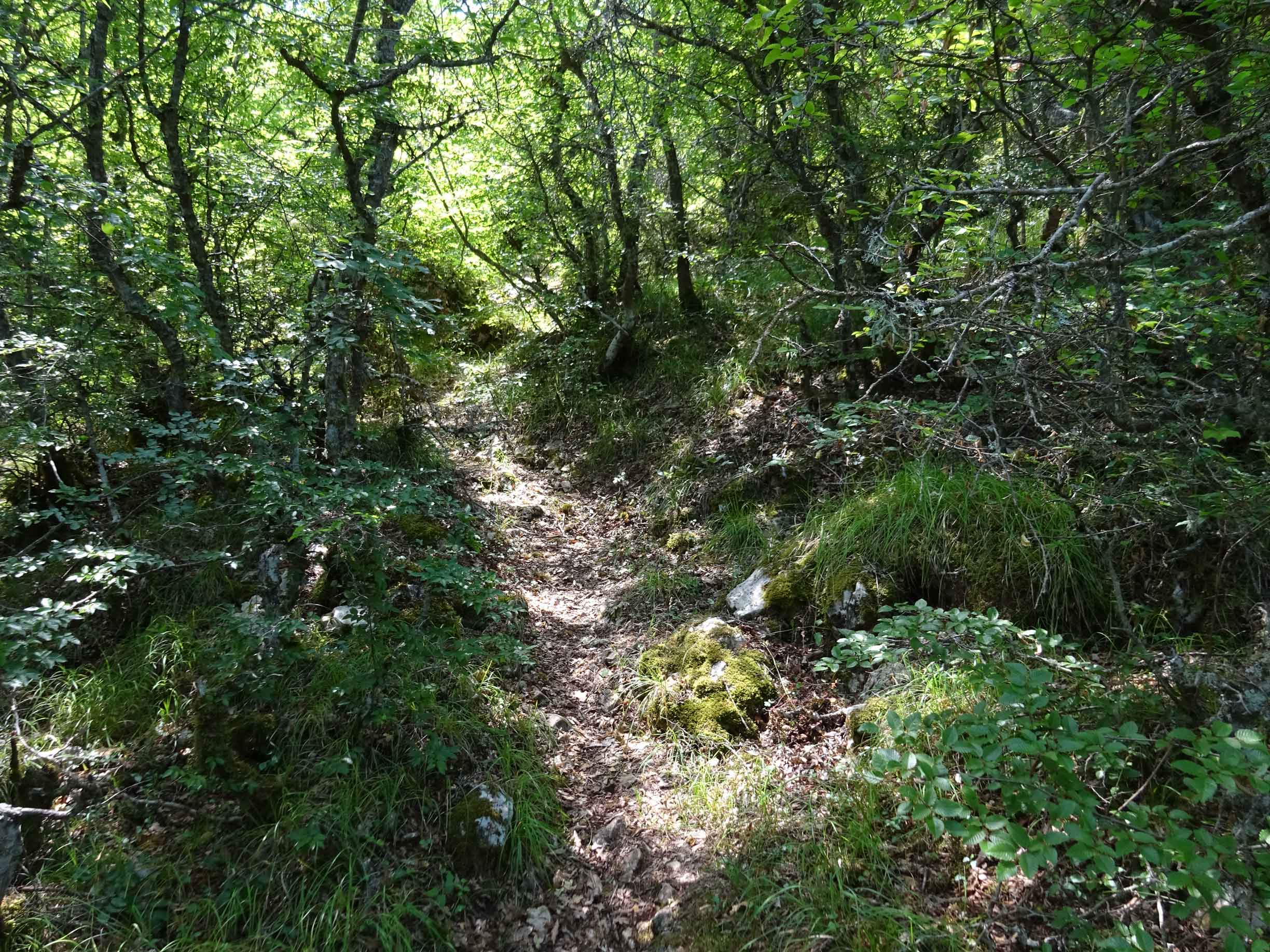 Trpejca to Church of St Zaum (3.5 km) – My Macedonia Blog