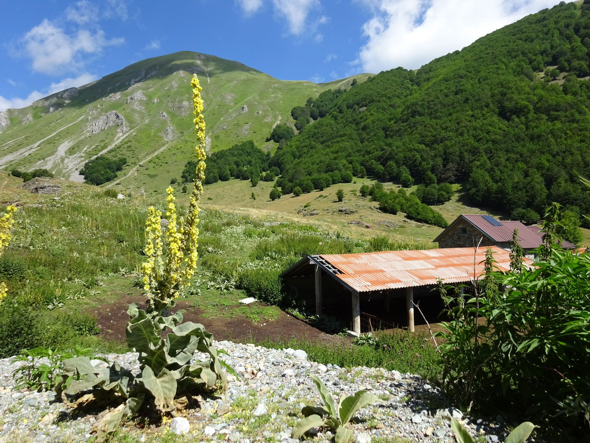Labunishta: 4 Lakes Tour on Jablanica mountain (9 km) – My Macedonia Blog