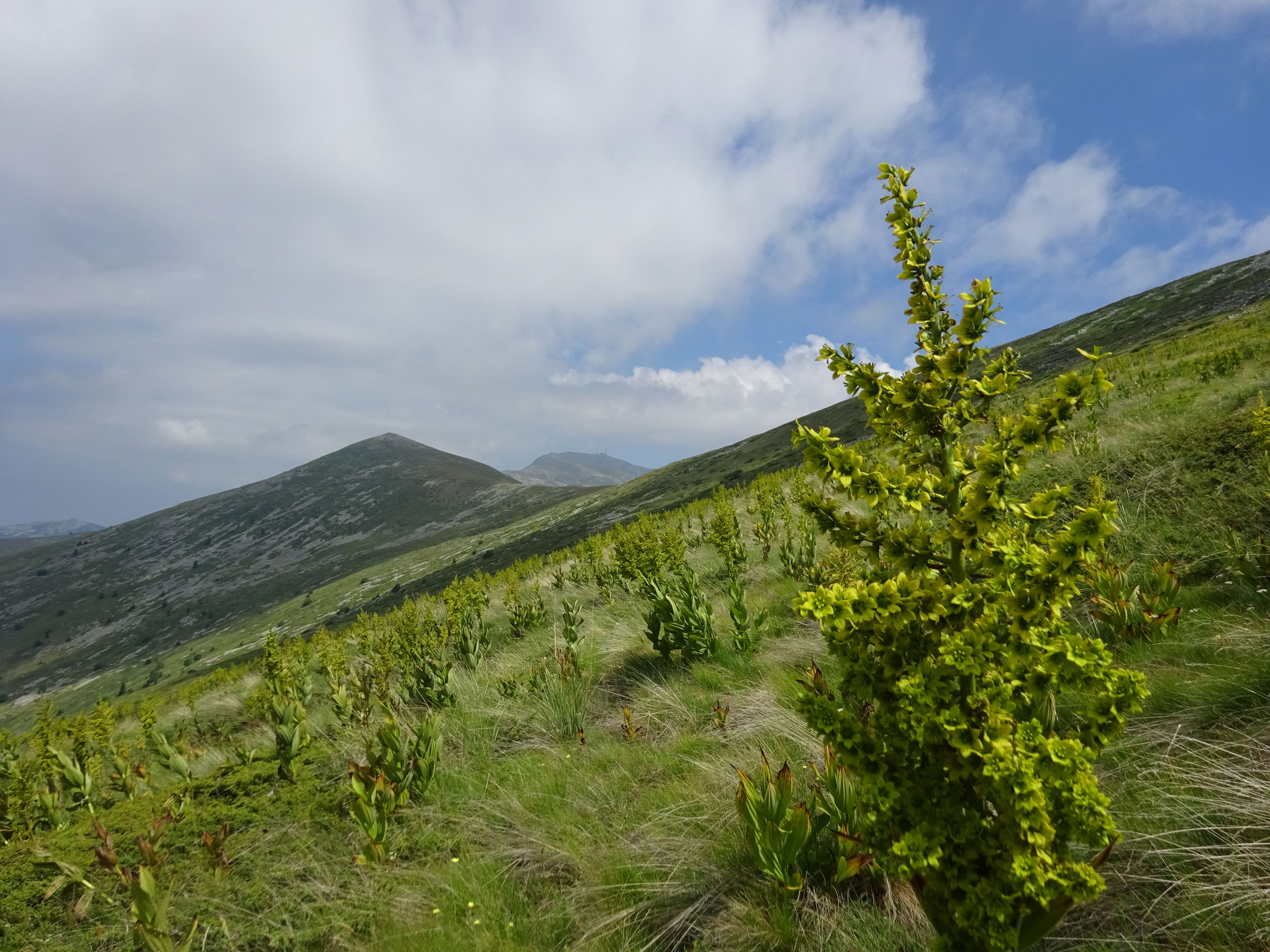 Arvati to Pelister Peak (28 km) – My Macedonia Blog