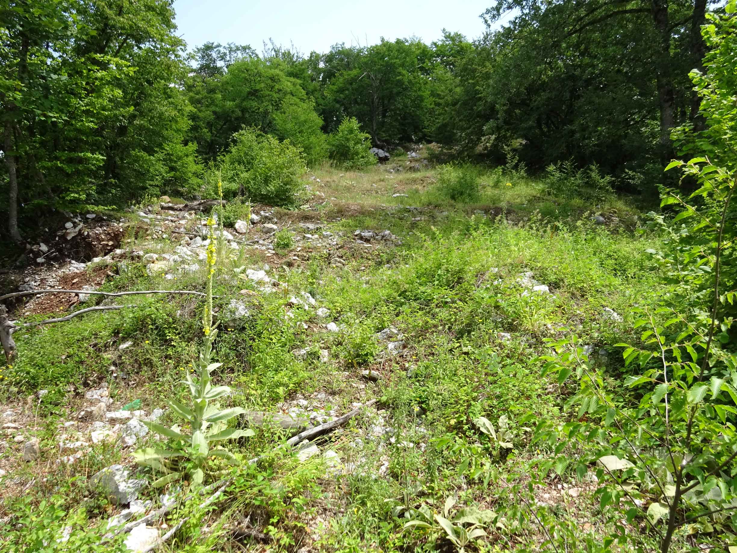 Oktisi to Archeological site Vajtos (5 km) – My Macedonia Blog