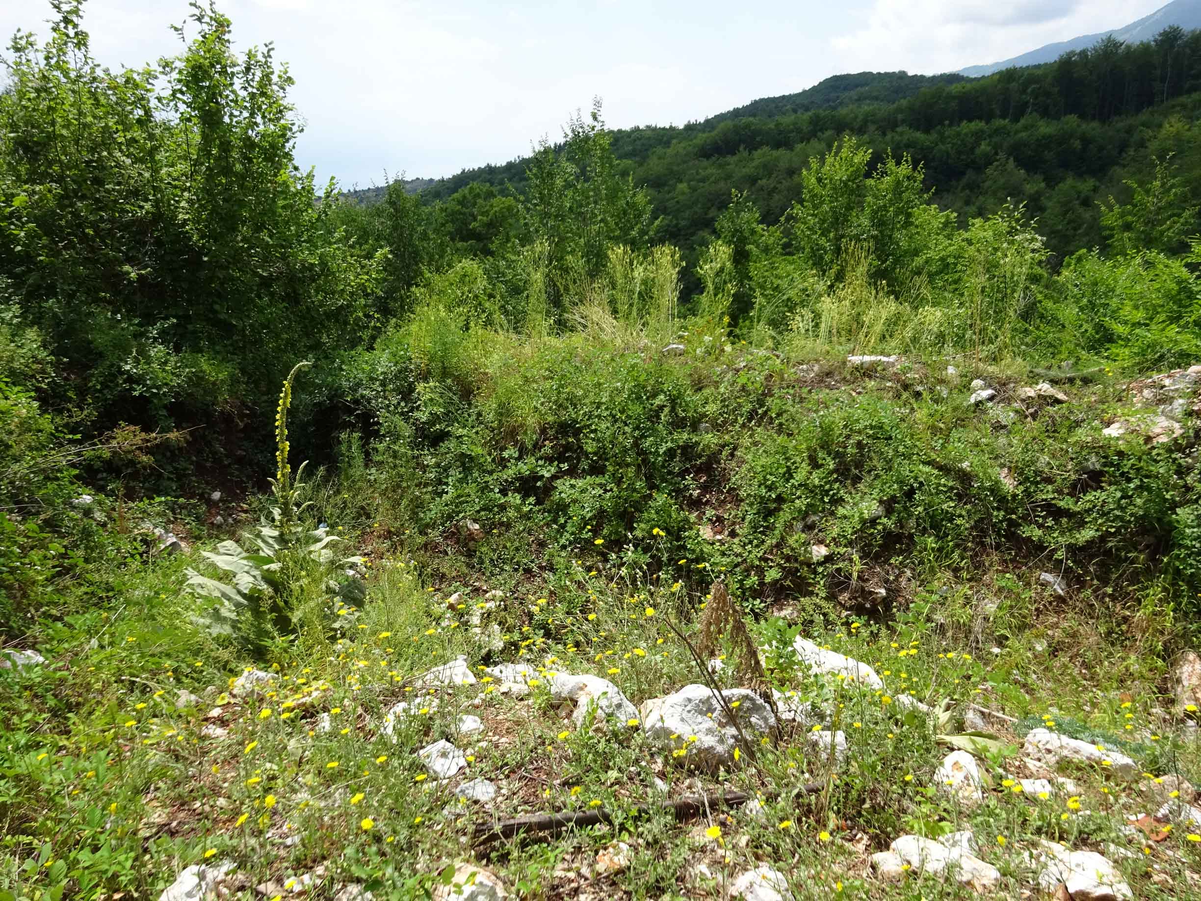 Oktisi to Archeological site Vajtos (5 km) – My Macedonia Blog