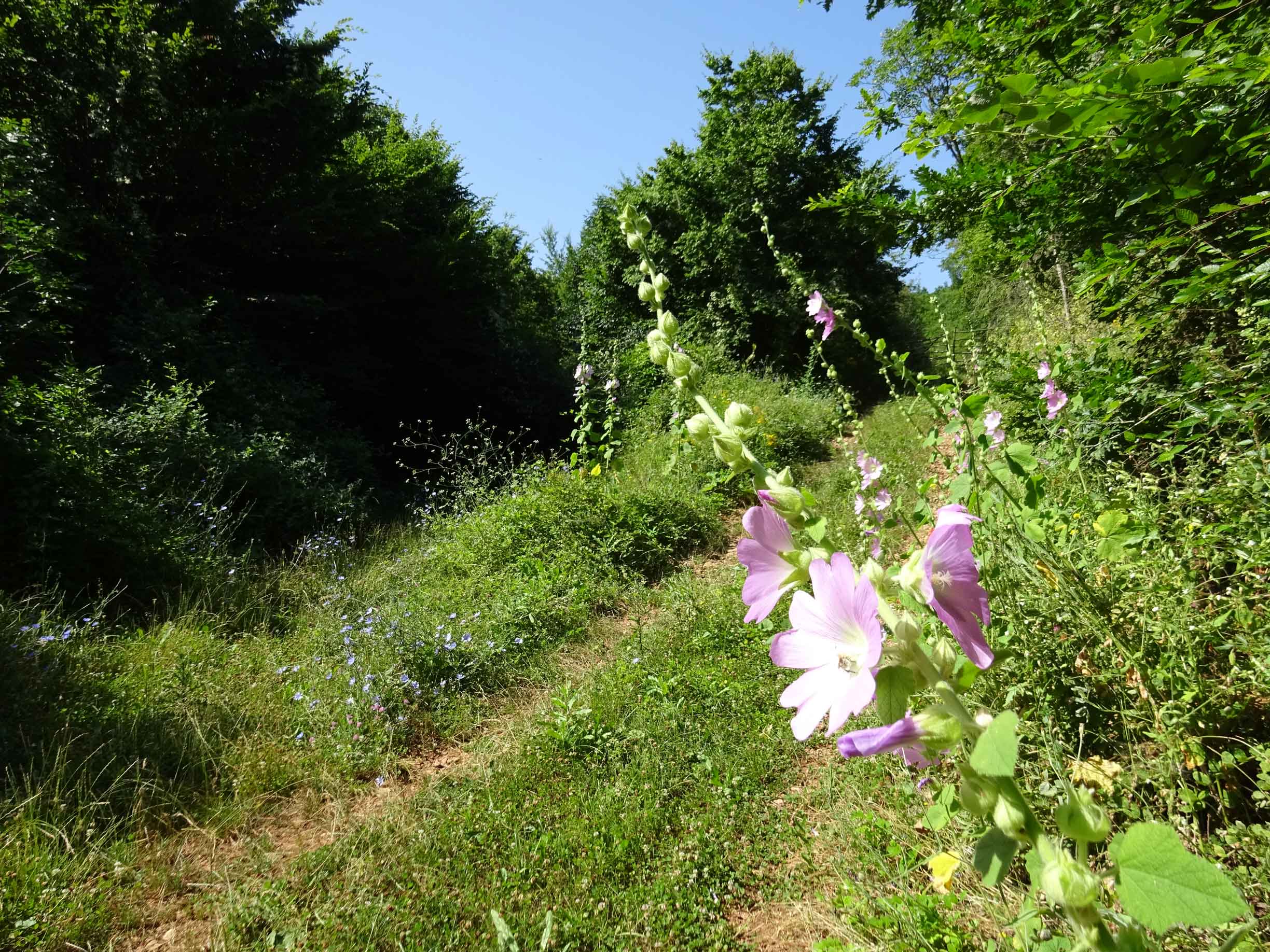 Nova Breznica to Ledena Cave (9 km) – My Macedonia Blog