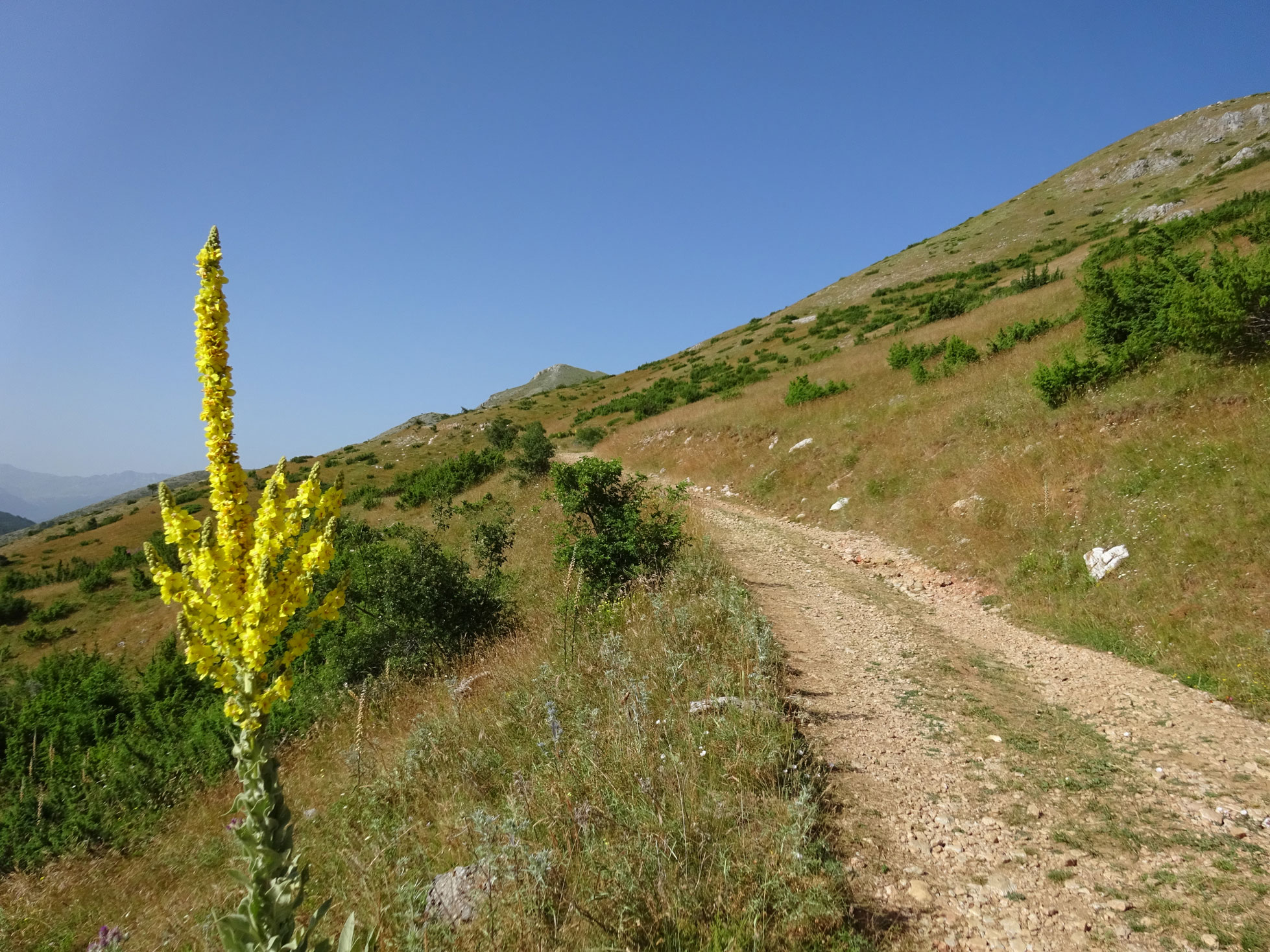 Medenica Peak in Mavrovo National Park (10 km) – My Macedonia Blog