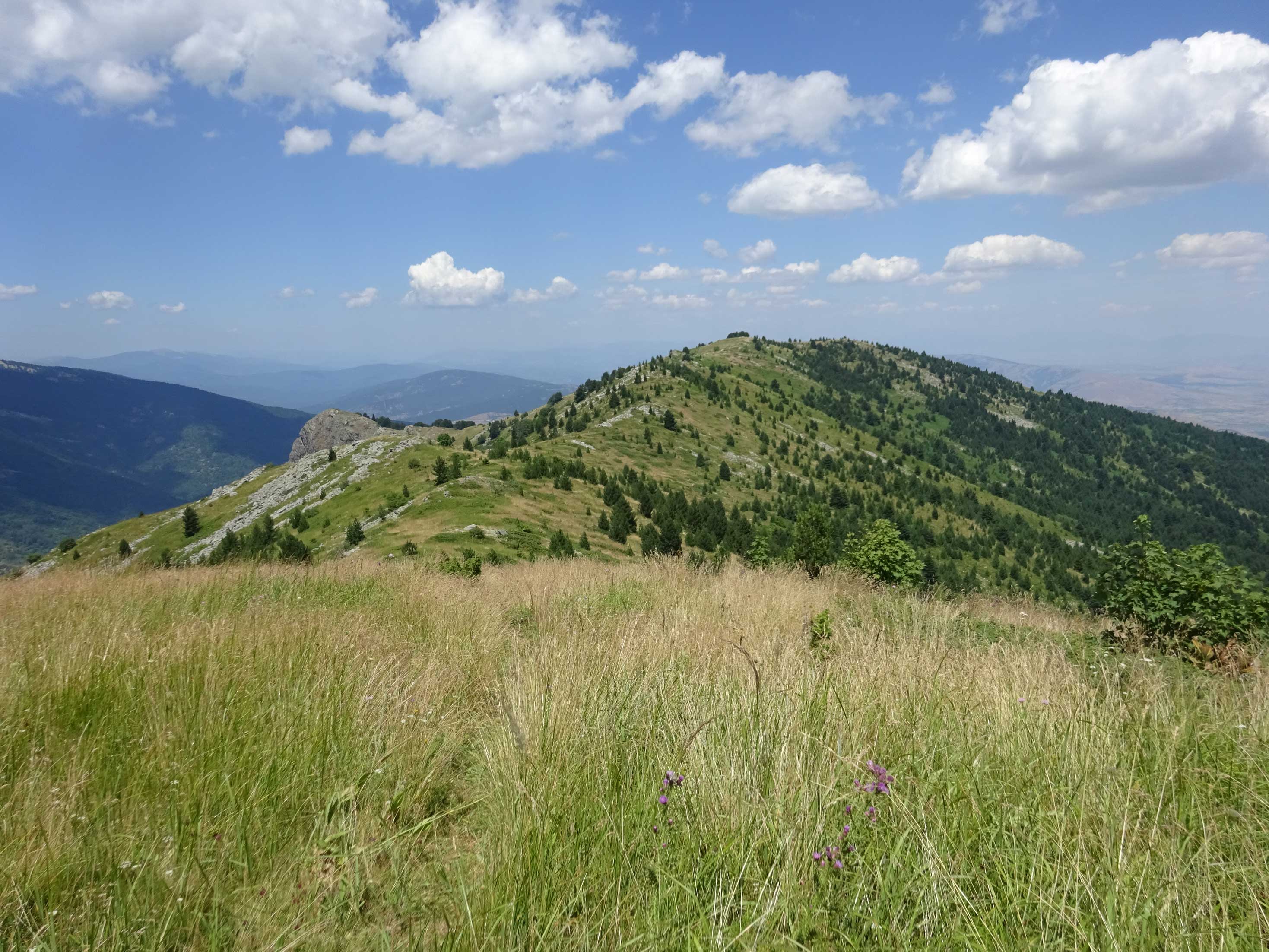Lavci to Neolica Peak in Pelister National Park (14 km) – My Macedonia Blog